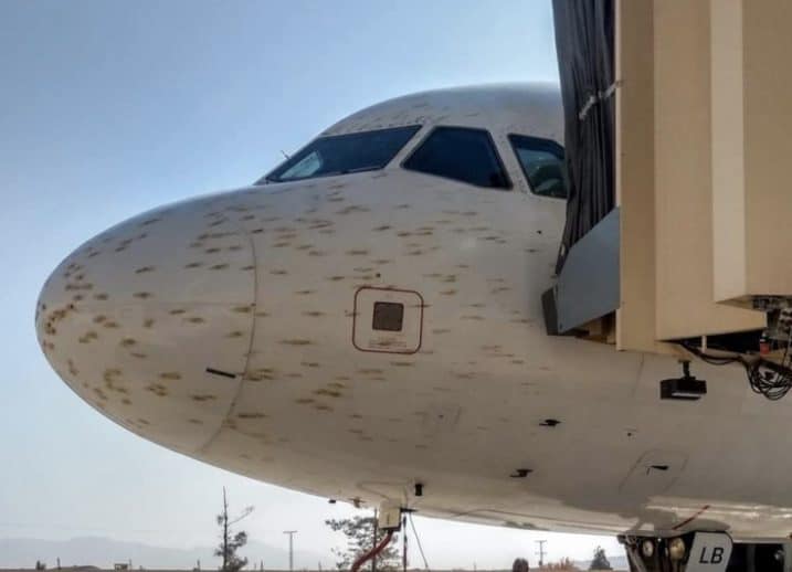 PIA Airbus A320 nose scarred after locust collision