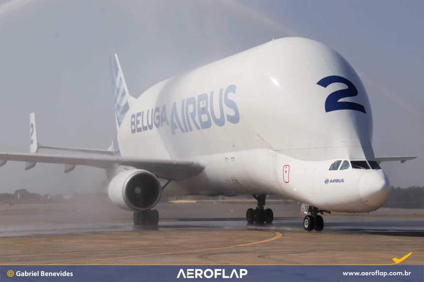 Airbus prepara icônico Beluga para mais uma missão internacional nas ...