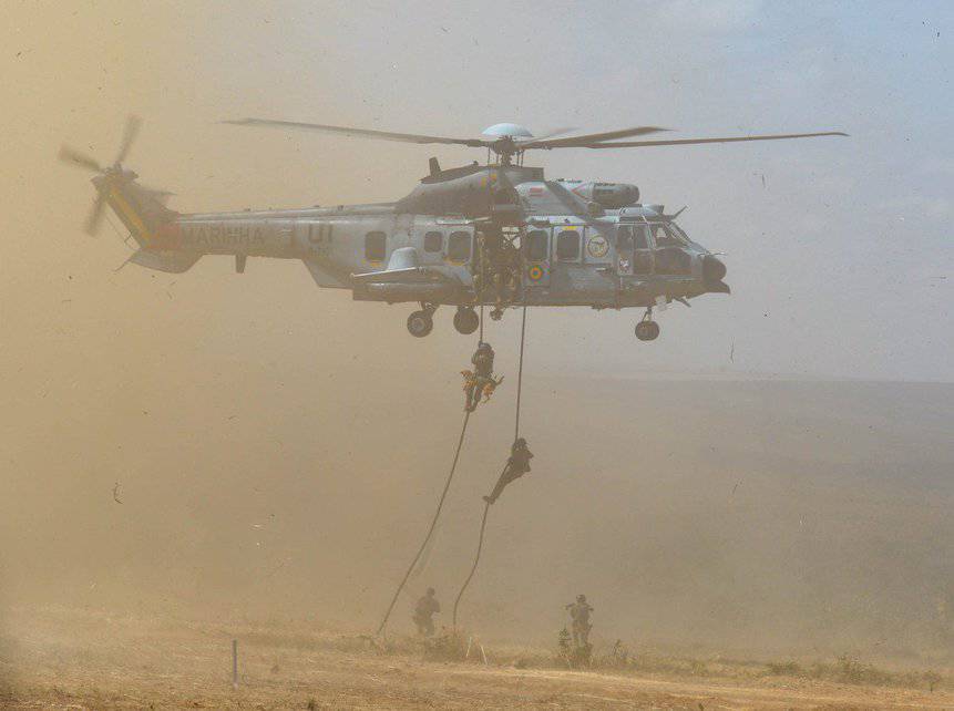 Armed Forces end joint training near Brasília with the participation of ...
