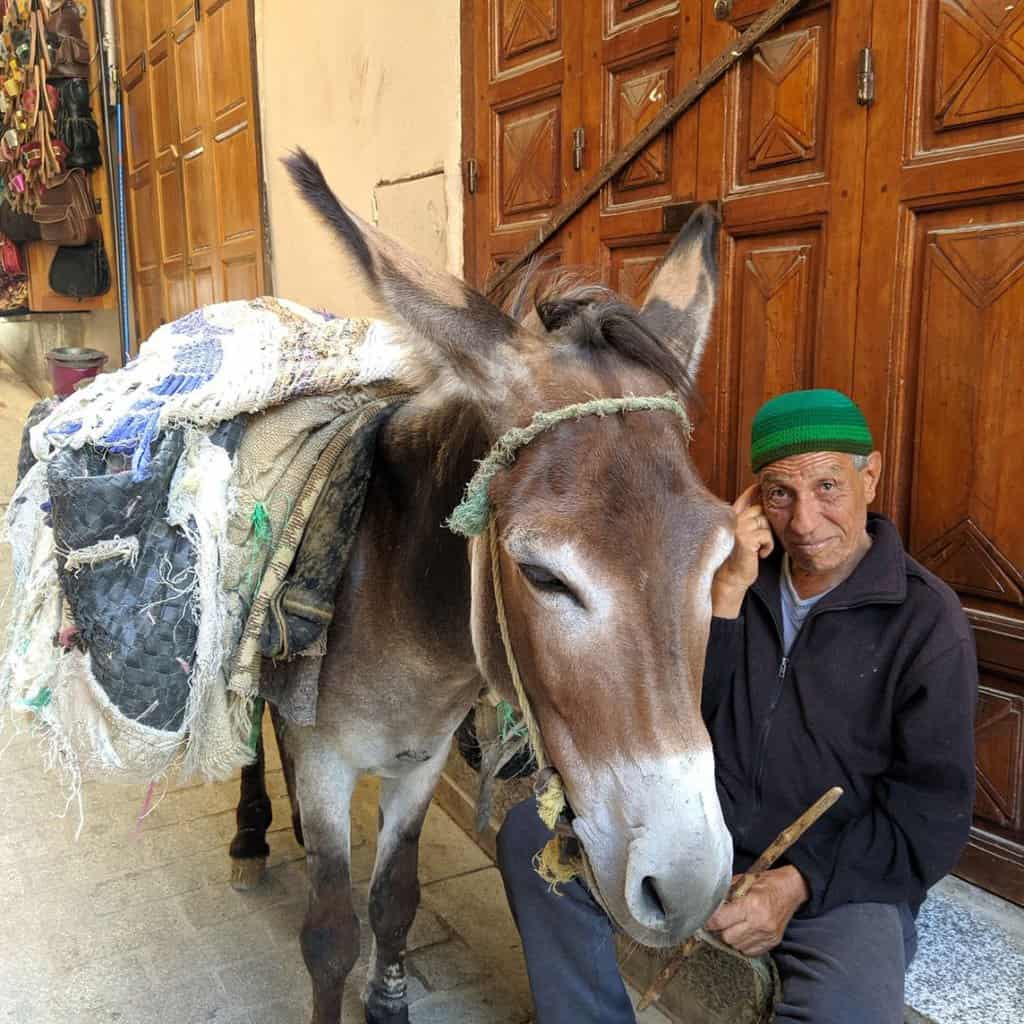 The best way to discover the Medina of Fez in Morocco – AEROFLAP