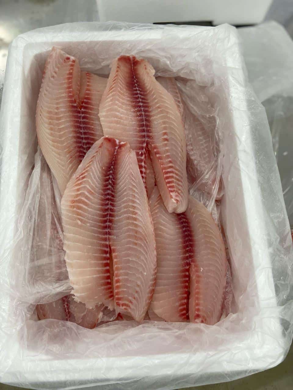 Viracopos shipped first load of fresh fish to the US without issuing a ...