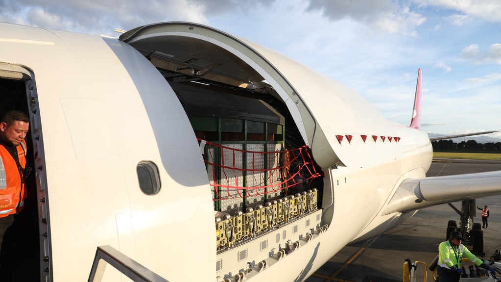 Avianca Cargo agrandit sa flotte avec le nouvel Airbus A330P2F - Aeroflap